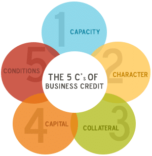 The 5 C's of Creditworthiness - Sustainable Energy Fund